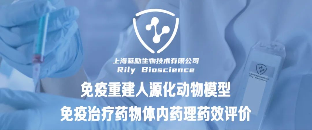 人源化小鼠肿瘤模型与IO药物的体内药效评价及免疫学分析