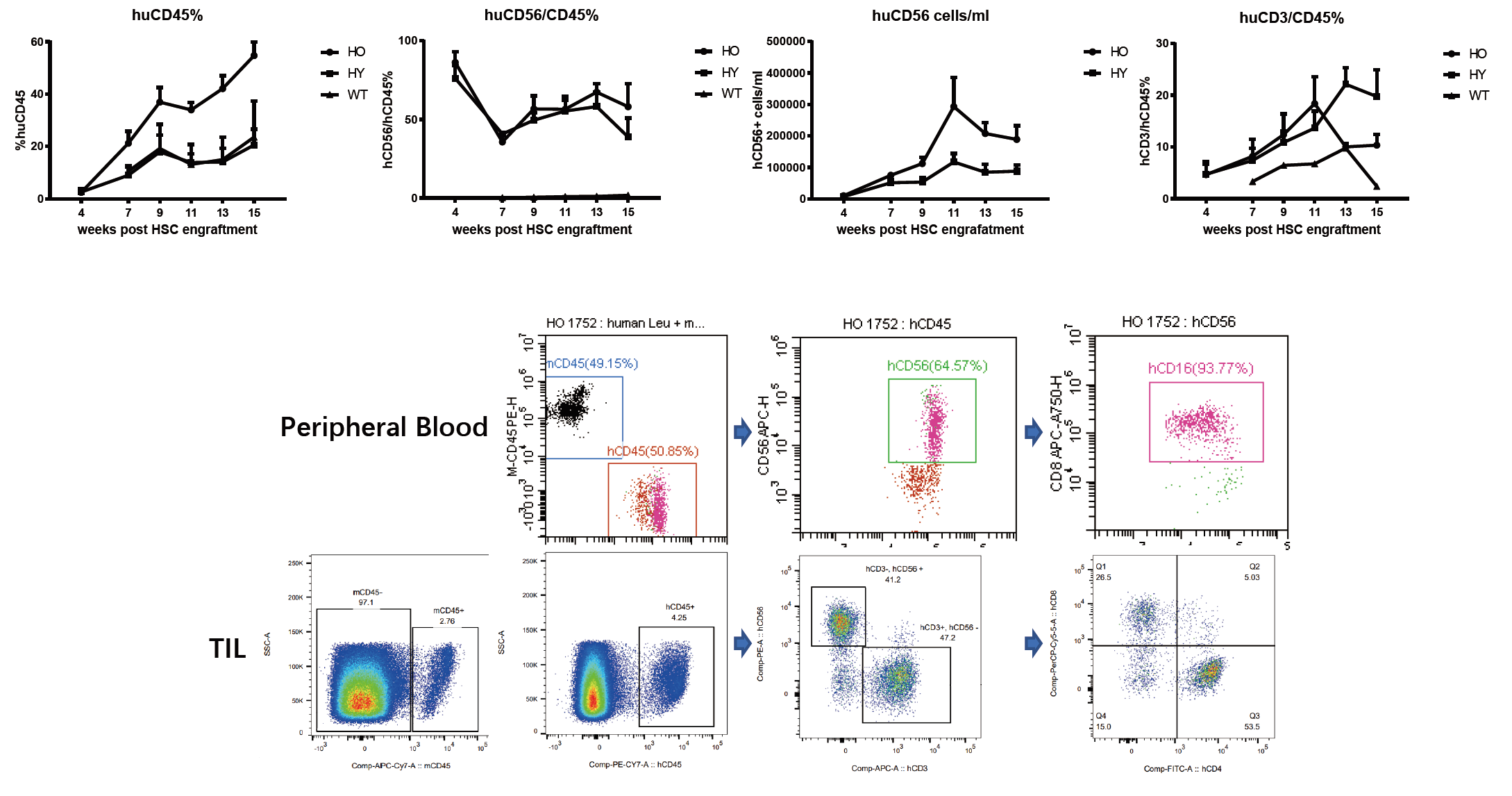 huNK 人源化小鼠模型 - Rily Bioscience